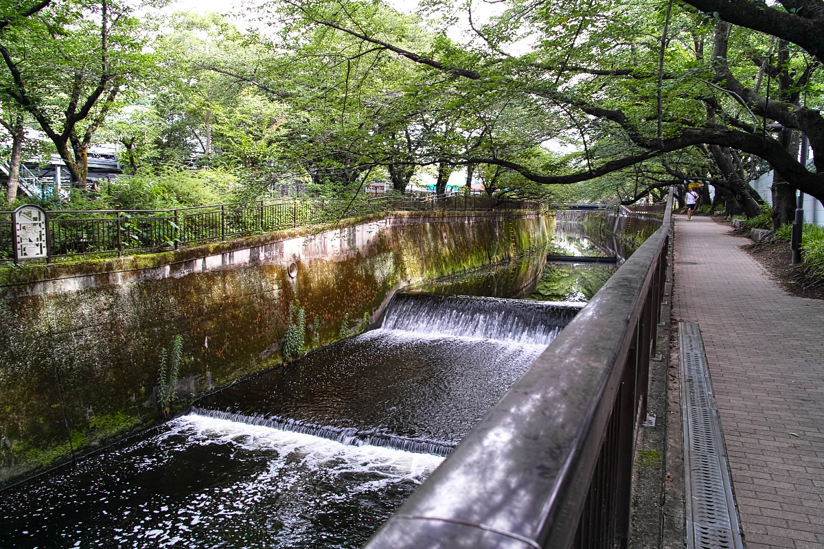 Y Musashino Kokubunji Gaisen Image 160703 Ef Bc 88 E4 Bb